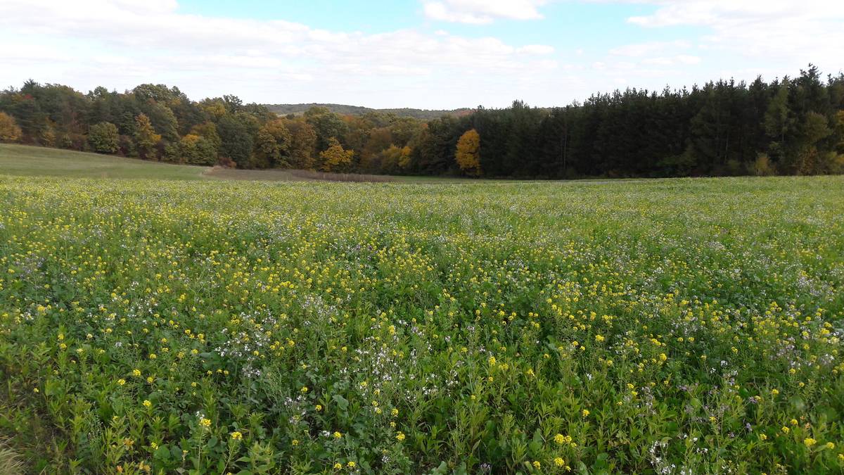 Der Bioimker – Martin Schuch - Naturparke
